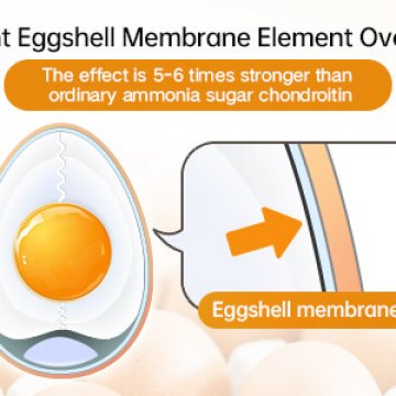 Eggshell membrane Ovomet®
